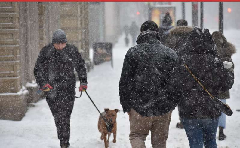 Winter Weather Preparation and Response Checklist: Simple Steps to ...